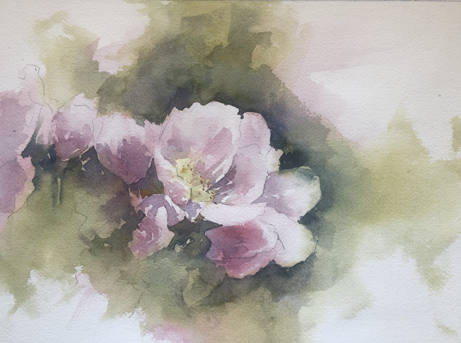 Class 4: Floral – Flower Study – Art Spirit Studio Classes